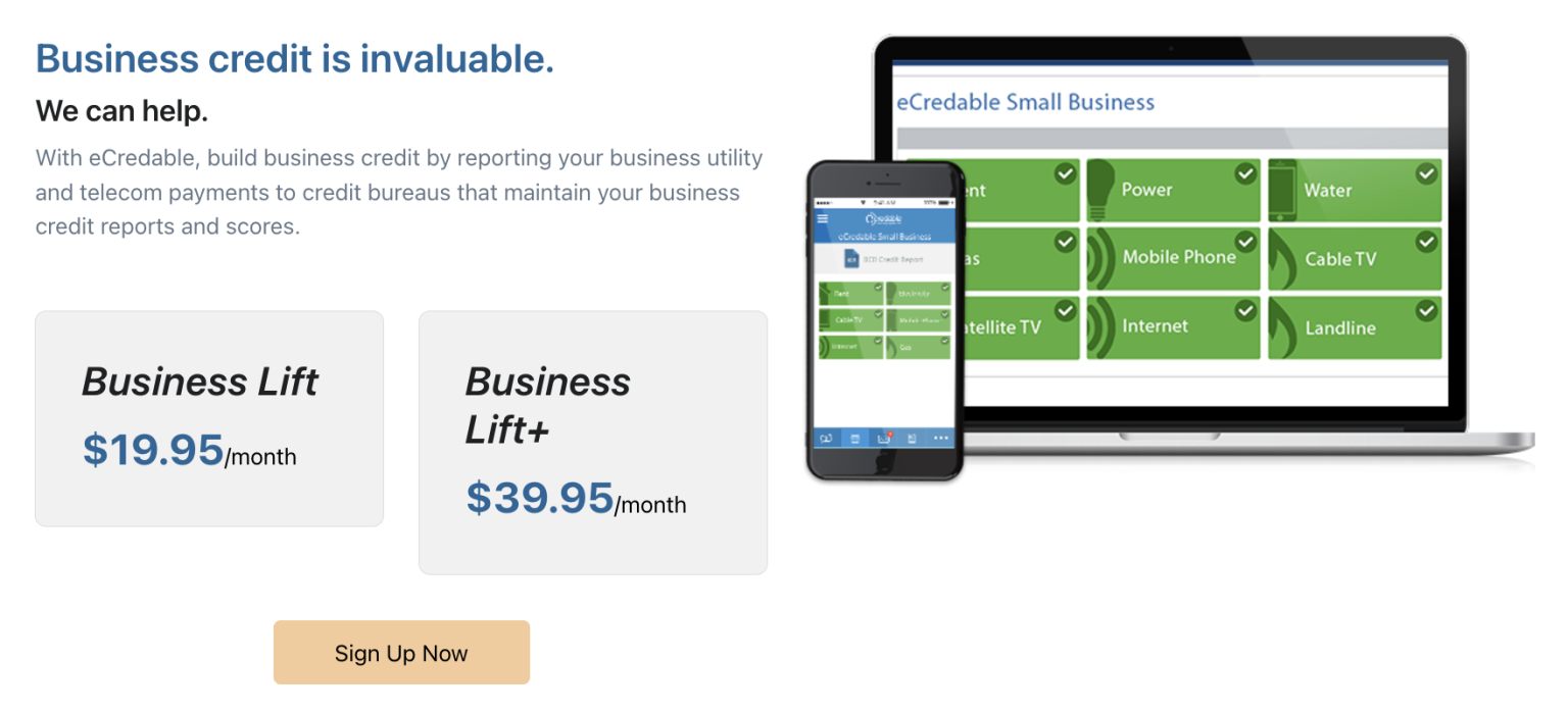 eCredable Business: Deep Dive Into the Credit Builder Platform