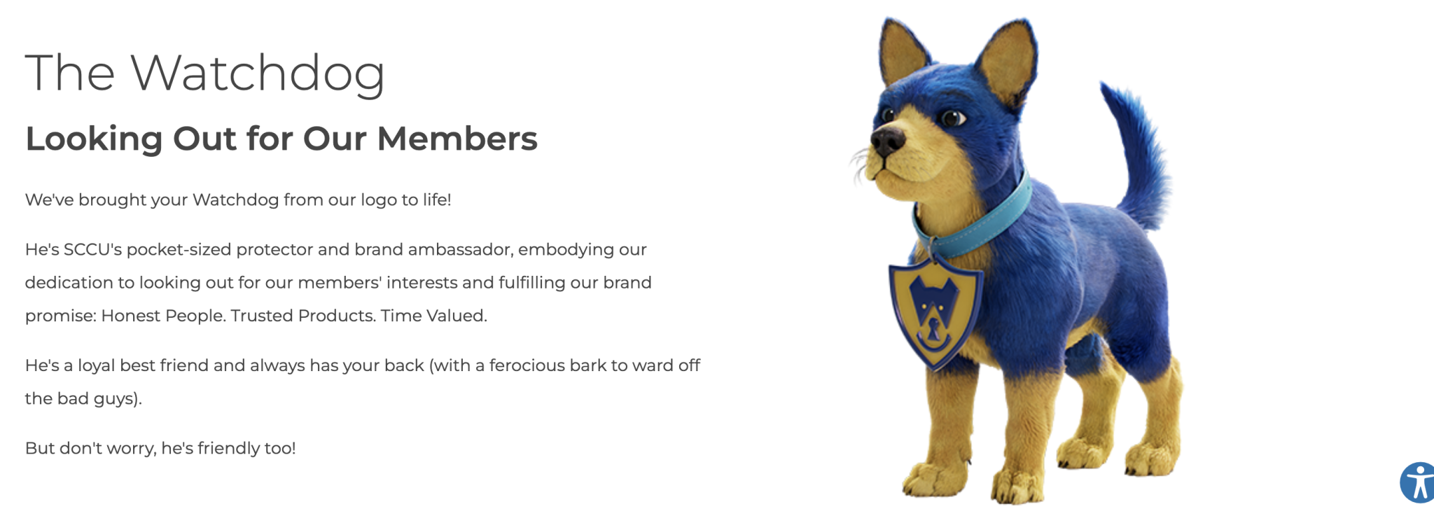 Space Coast Credit Union Review: SCCU’s Small Business Offer